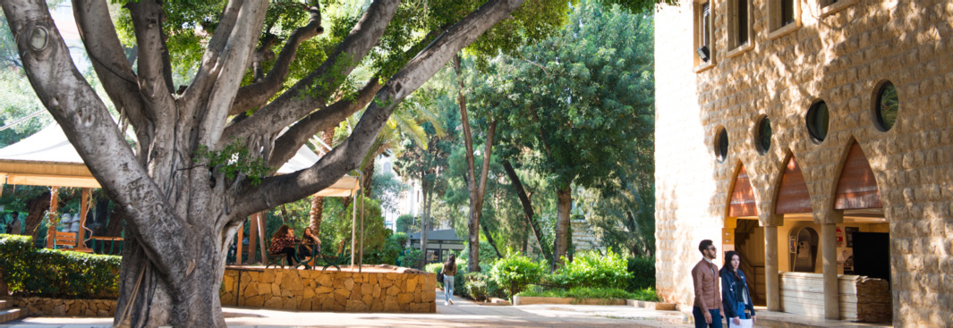 Lebanese American University